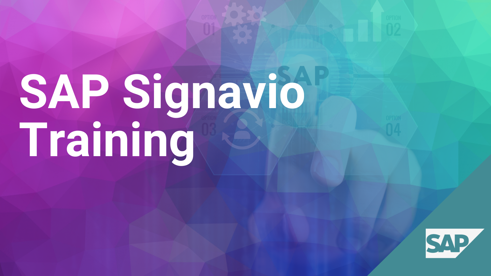 SAP Signavio Training | Business Process Management Course